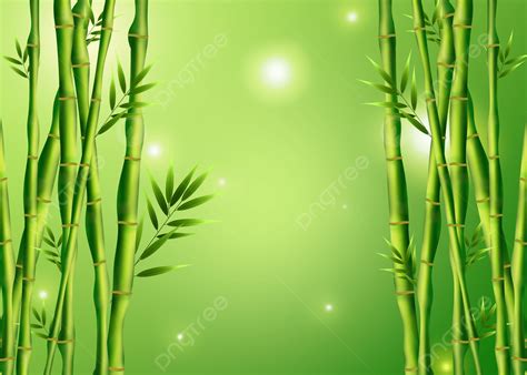 대나무 잎 빛 자리 녹색 배경 대나무 정글 밀림 배경 일러스트 및 사진 무료 다운로드 Pngtree