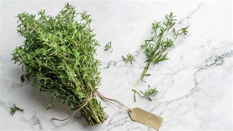 Culinary Uses For Thyme
