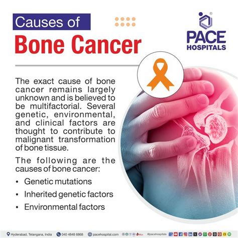 Bone Cancer Types Symptoms Causes Diagnosis And Treatment