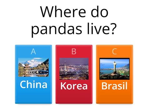 Pandas Quiz