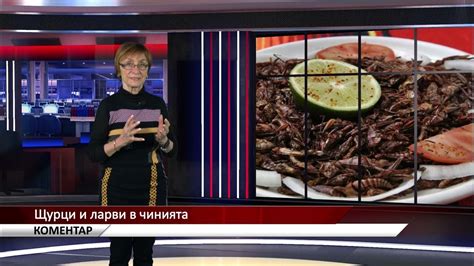 Агрокоментар Щурци и ларви в чинията автор Валентина Спасова Youtube