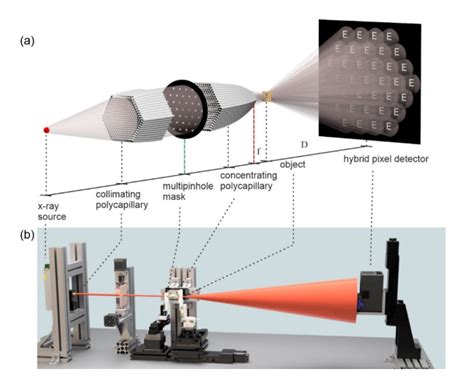 Multibeam 3d X Ray Microscopy With Polycapillary Optics And Eiger2 R D Szphoton