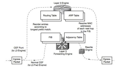 Switch Layer 3 Là Gì Đặc điểm Chức Năng Của Switch Layer 3 Thiết Bị Quang