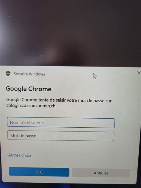 Security Issue With Chrome R Windows11
