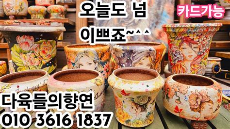 다육들의향연2탄💗오드리분특가상품도있어요인물화분꽃그림분멋진와인잔분카드가능🌸24425korean