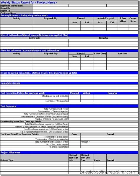Effective Software Testing Weekly Status Report Template