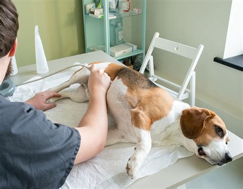 Diagnostic Laboratory