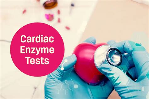 Cardiac Enzyme Test Understanding Its Purpose And Normal Range