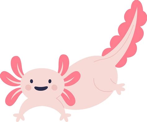 Premium Vector Axolotl Funny Amphibian