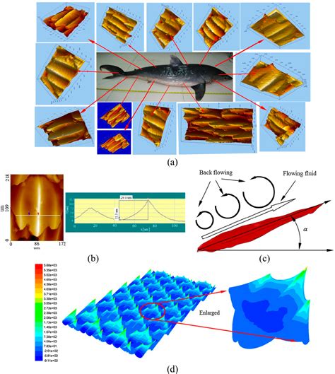 Figure 1 From Multi Scale Surface Texturing In Tribology—current