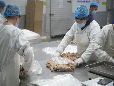 Улсын хэмжээнд махны үйлдвэрүүдэд хяналт шалгалт хийж аттестатчилна Isee Mn