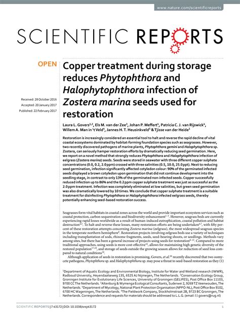 Solution Copper Treatment During Storage Reduces Phytophthora And Halophytophthora Infection Of