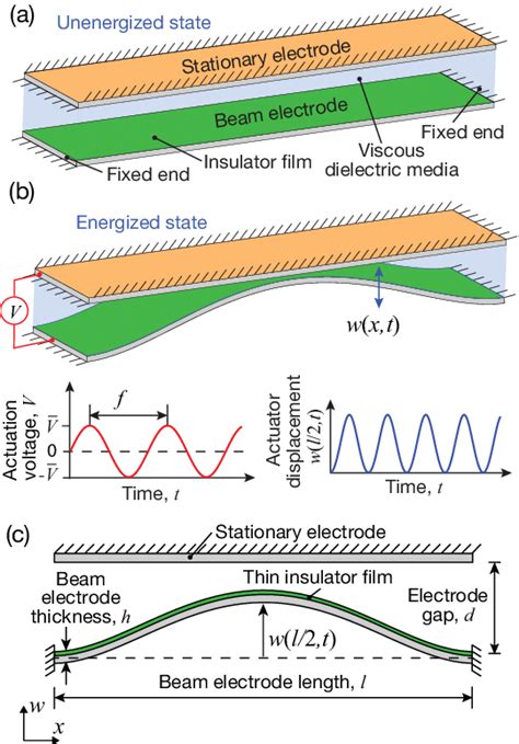Schematic Sketch Of The Parallel Plate Electrostatic Actuator A Download Scientific Diagram