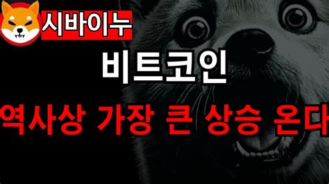 비트코인 역사상 가장 큰 상승이 온다 Youtube