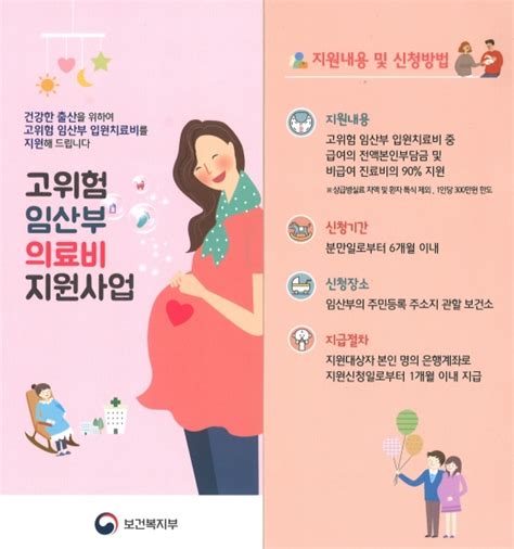 고양시 보건소 고위험 임산부 의료비 확대 지원 머니S