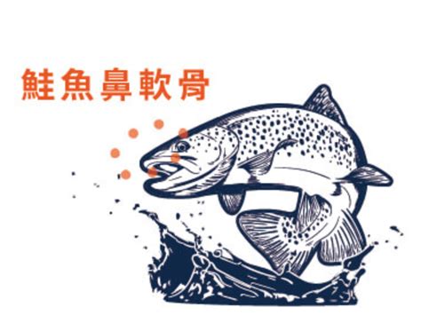 所有商品 沅夢客製化保健食品賣場