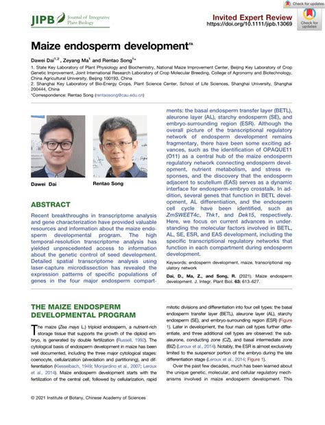 Pdf Maize Endosperm Development
