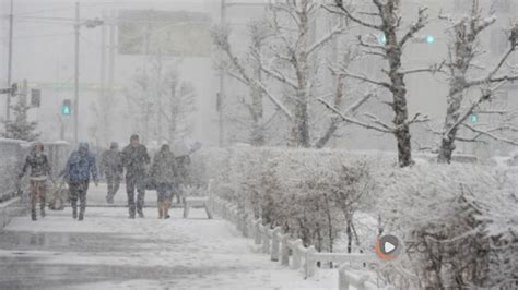 Цасаар шуурч эрс хүйтэрнэ