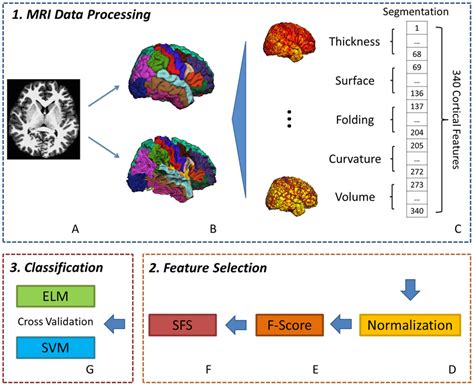 A Flowchart For Adhd Classification Using Human Cortical Feature Download Scientific Diagram