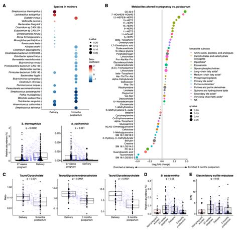 Cell 多组学揭示母婴间肠道菌群或存在水平基因转移现象 知乎