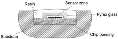 Schematic View Of Sensing Chip With Packaging Components