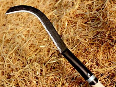 Elderly man allegedly swung slash hook at gardaí in Laois Laois Live