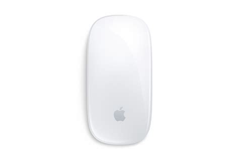 Apple Wireless Mouse Student Multimedia Design Center