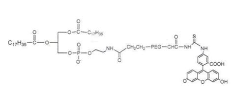 Dspe Peg Fitc 荧光素聚乙二醇磷脂 Fitc Peg Dspe Udp糖丨mof丨金属有机框架丨聚集诱导发光丨荧光标记推荐西安齐岳生物 Dspe Peg Fitc 荧光素聚乙二醇磷脂 Fitc Peg Dspe Udp糖丨mof丨金属有机框架丨聚集诱导发光丨荧光标记推荐西安齐岳生物