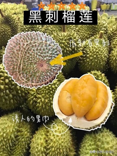 每天認識一種水果——榴槤，了解品種、學會挑選、分享吃法 每日頭條