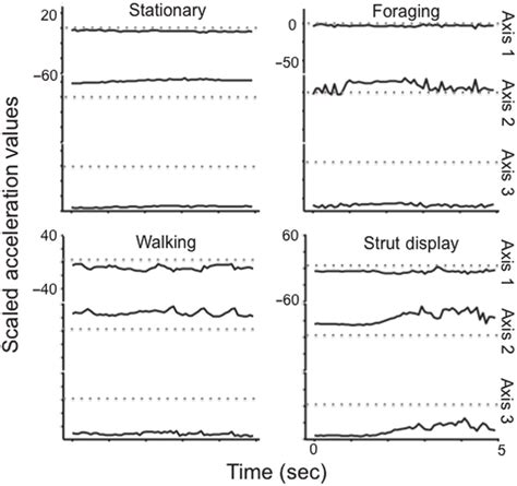 Examples Of Three Axis Accelerometer Traces Of Four Common Behaviors Of