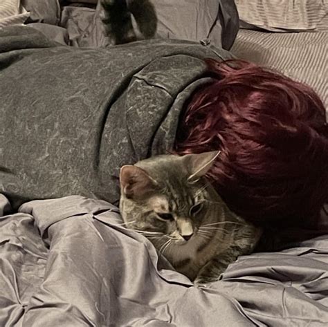 Standard Issue Pillow Rstandardissuecat