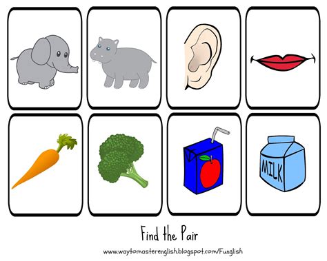 Find The Pair Game Funglish