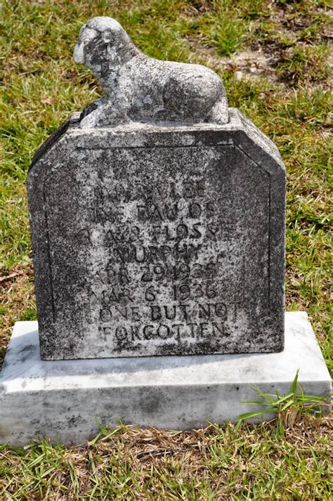 Myra Lee Murphy 1935 1936 Homenaje De Find A Grave