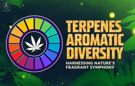 Terpenes Aromatic Diversity Harnessing Natures Fragrant Symphony By