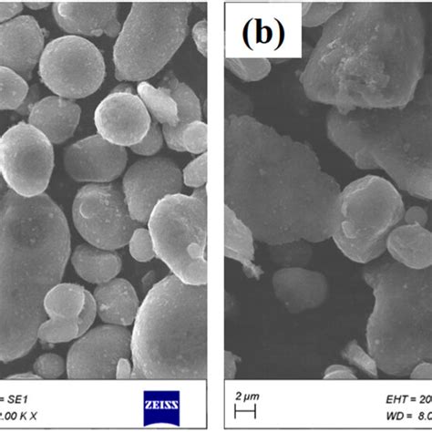 Microscopic Characterization Of Mixing Process A Sem Image Of Nano