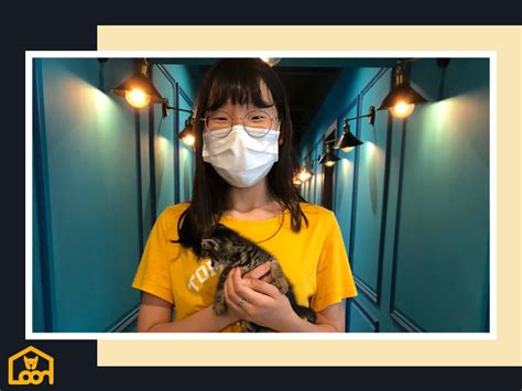 코리안숏헤어 책임분양 페르시안친칠라 구미강아지분양 애견분양샵 서울강아지분양 유기견센터 애완용강아지종류 대구유기견 반려견무료분양 빅토리아펫보호소 입양완료