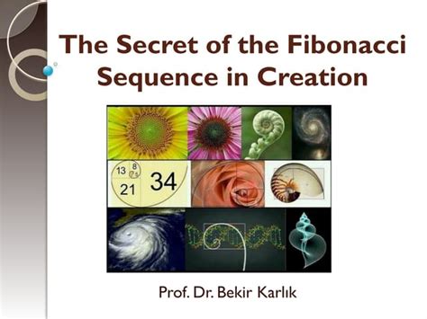 Thesecretofthefibonaccisequenceincreation Pptx
