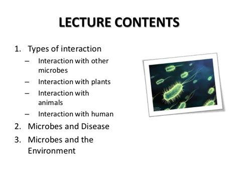 Microbial Interactions