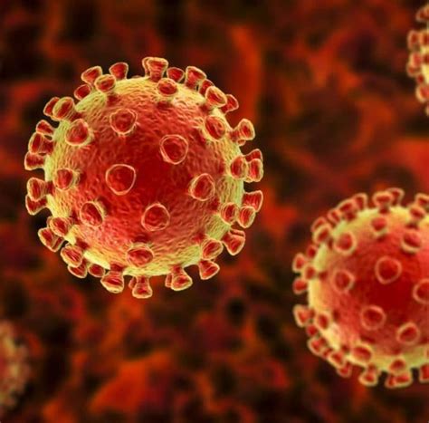 Covid 19 Accélération De La Reprise épidémique En Guadeloupe Karibinfo