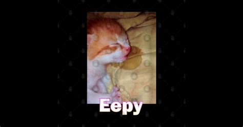 Eepy Cat Meme Eepy Posters And Art Prints Teepublic