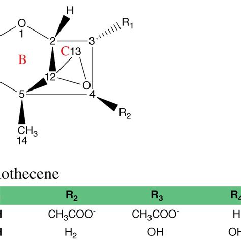5 Chemical Structure Of Trichothecene Download Scientific Diagram