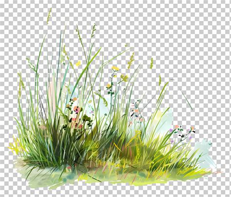 Green Grass Patch Illustration Green Grass And Wildflower Patch