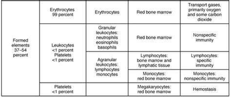 CH 18 CVS Blood Flashcards Quizlet CH 18 CVS Blood Flashcards Quizlet