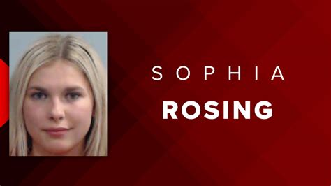 Sophia Unlocking Wisdom Empowering Education And Beyond