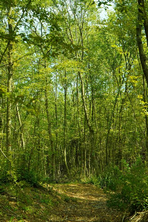 700000 Foto Cewe Cantik Terbaik · Unduh Gratis 100 · Foto Stok Pexels