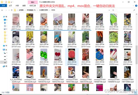 告别文件混乱！自动归类让您的视频文件管理更高效 Csdn博客