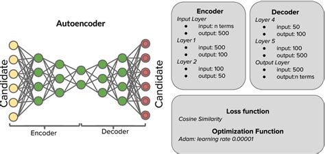 Deep Autoencoder Architecture The First Half Being Called The Encoder