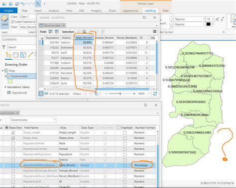 Arcgis Pro Pro Fails To Display The Format Ap Esri Community