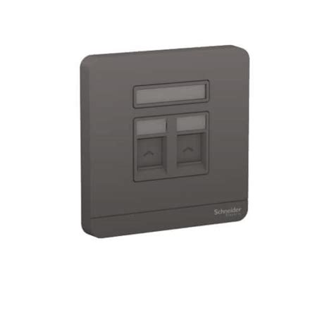 Schneider Avataron Rj45 Cat6e Shuttered Data Socket Delight Optoelectronics Pte Ltd