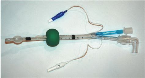 Extraglottic Devices Anesthesia Key